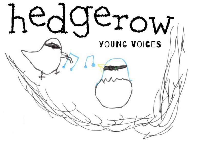 under 16s | hedgerow: a journal of small poems