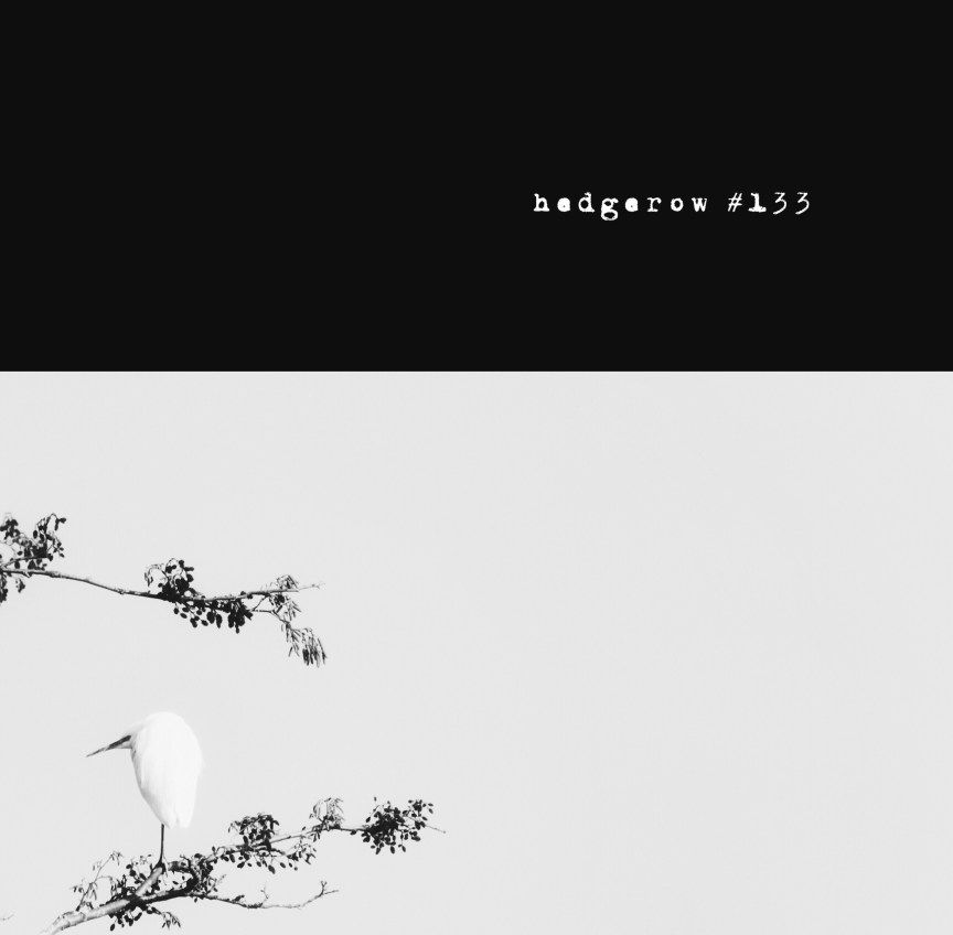 print issues | hedgerow: a journal of small poems