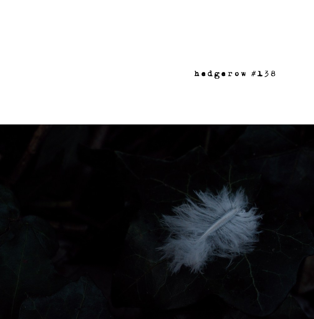purchase | hedgerow: a journal of small poems