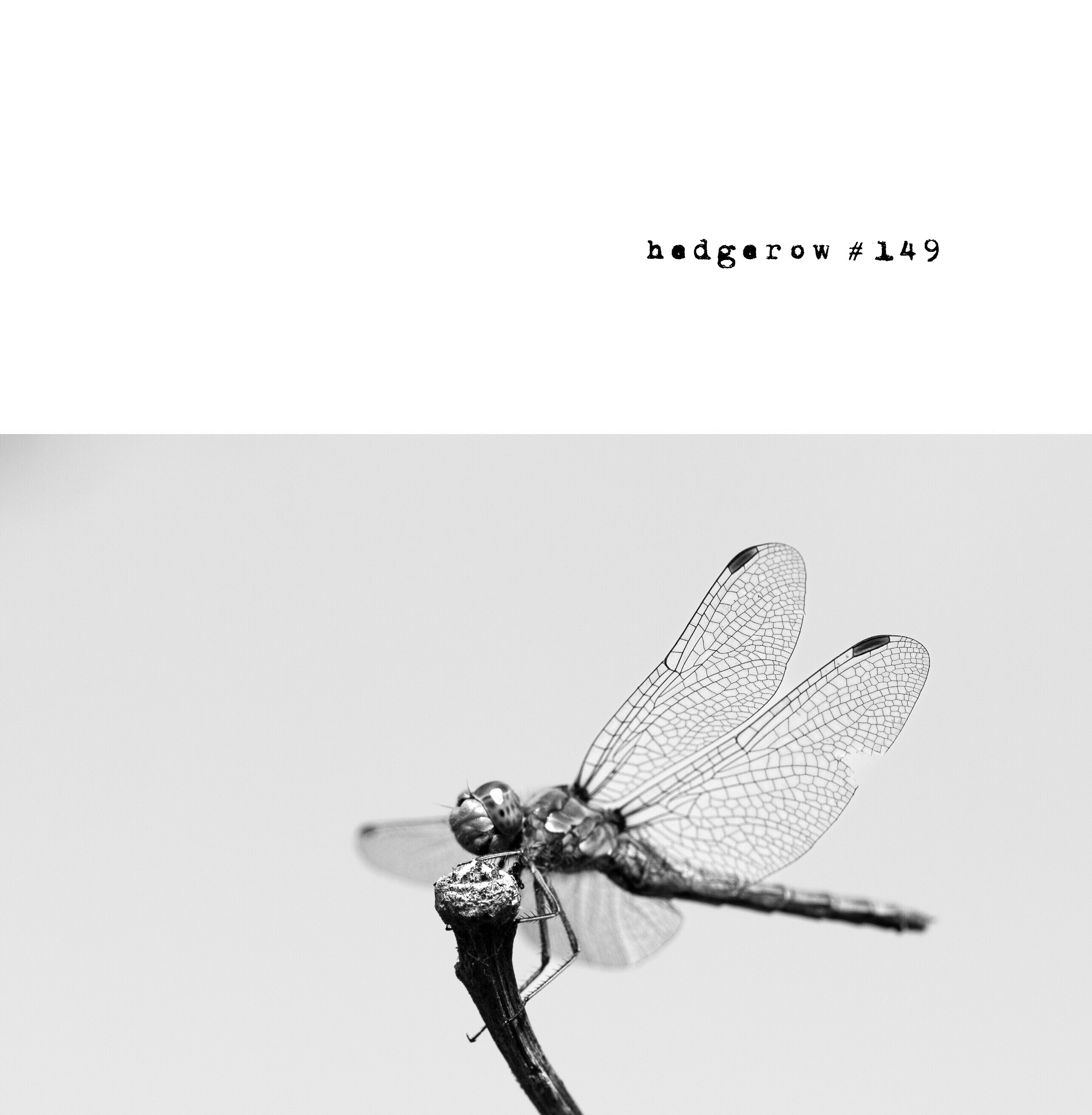 hedgerow: a journal of small poems
